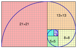 Fibonacci Spiral Craft - Common Sense Contentment